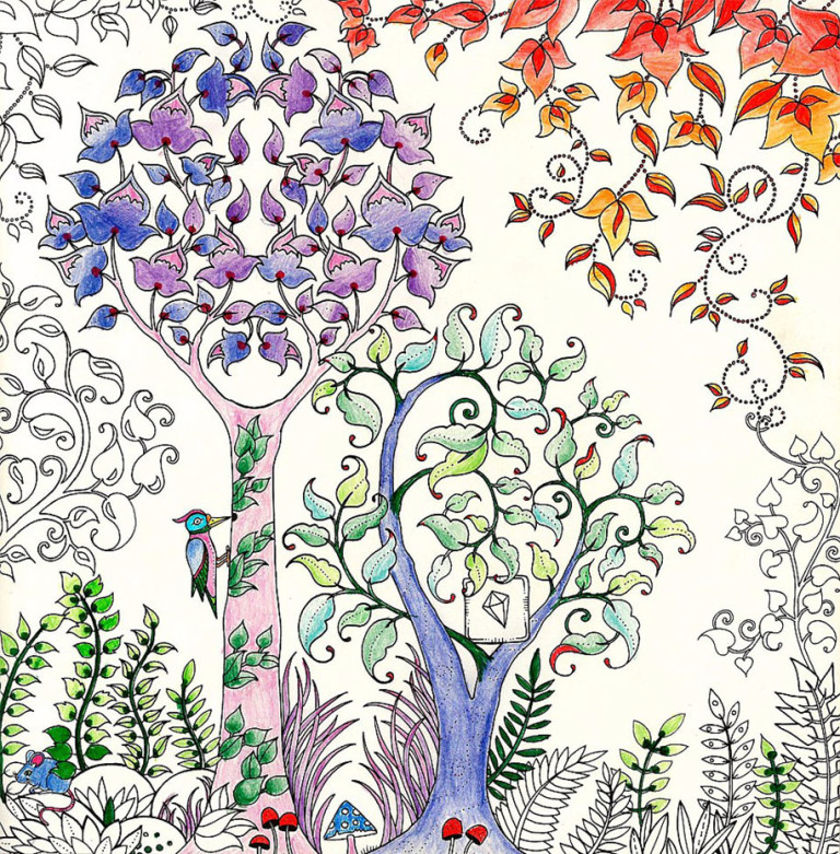 Coloring Books Adults Johanna Basford 4 Outer Banks Publishing Group